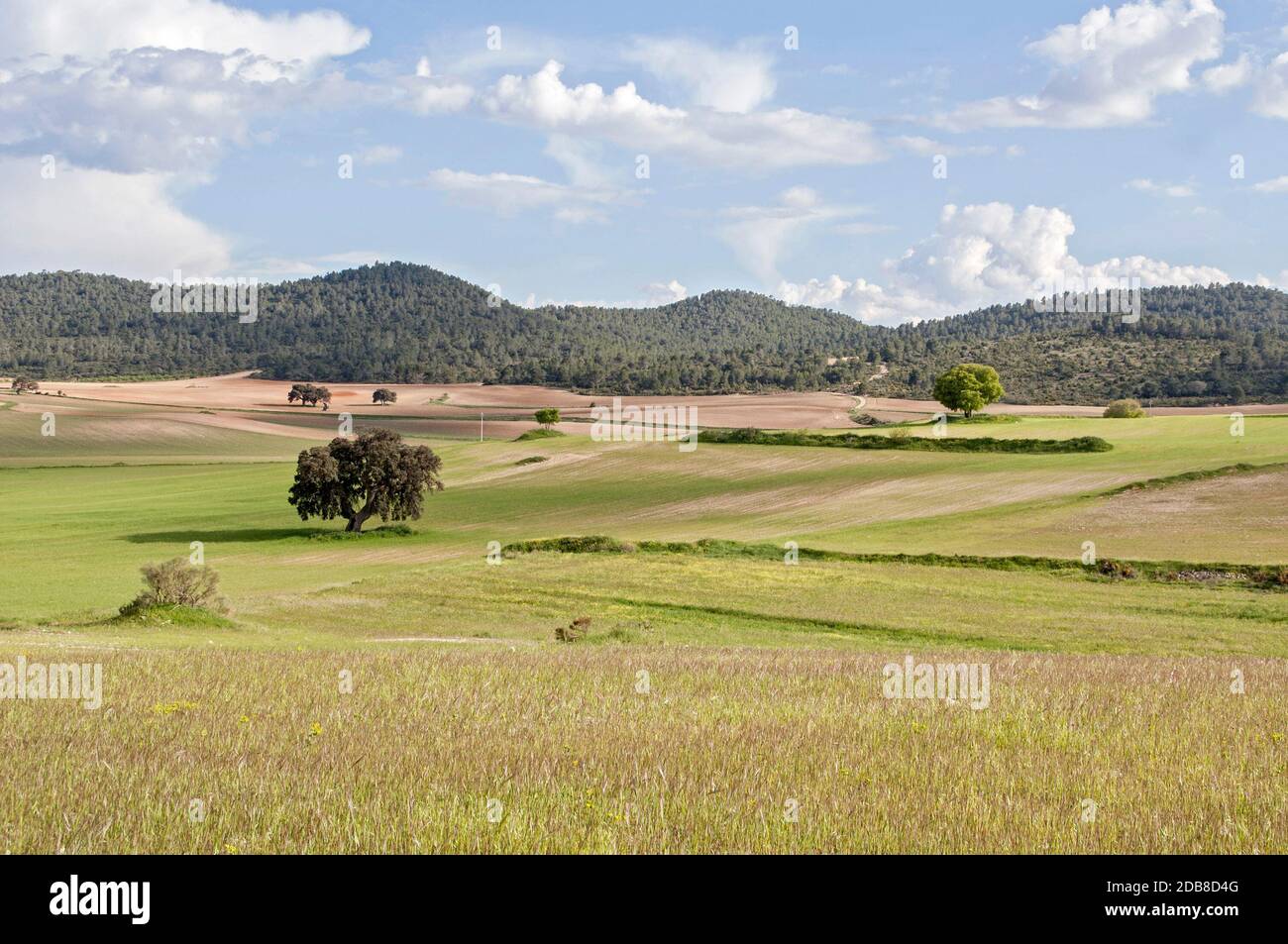 Montañas con hi-res stock photography and images - Alamy