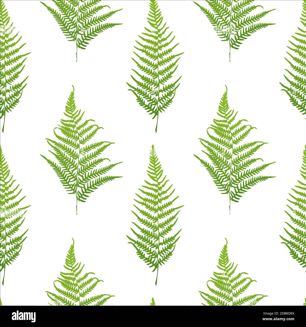 Fern seamless pattern. Vector illustration Stock Photo - Alamy