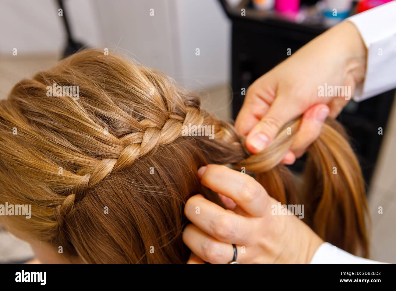 Professional braiding of braids by a master hairdresser in a beauty ...