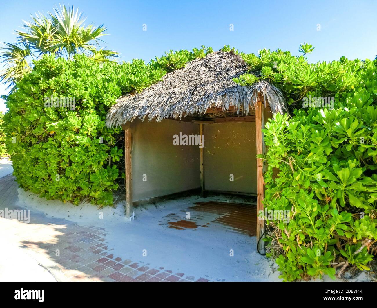 The view of beach on Half Moon Cay island at Bahamas. Blue water and ...
