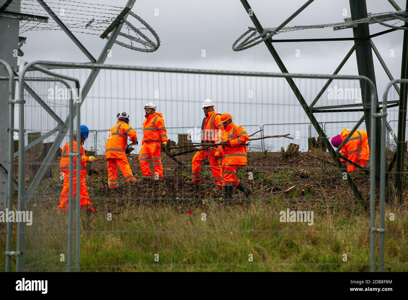 Important tree for insects hi-res stock photography and images - Alamy