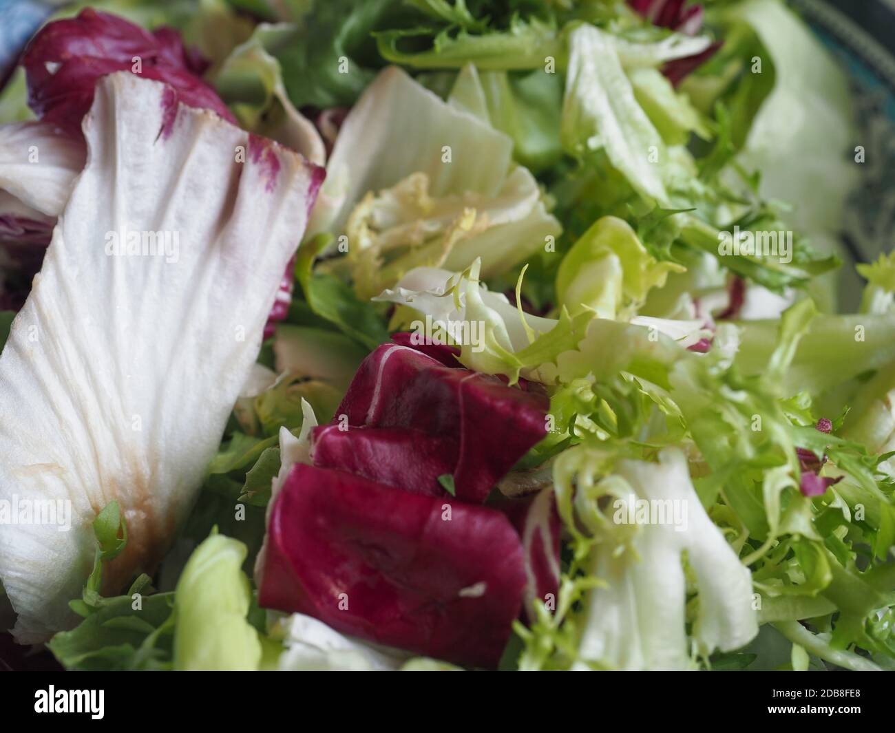 mixed leaf salad with green and red lettuce Stock Photo - Alamy