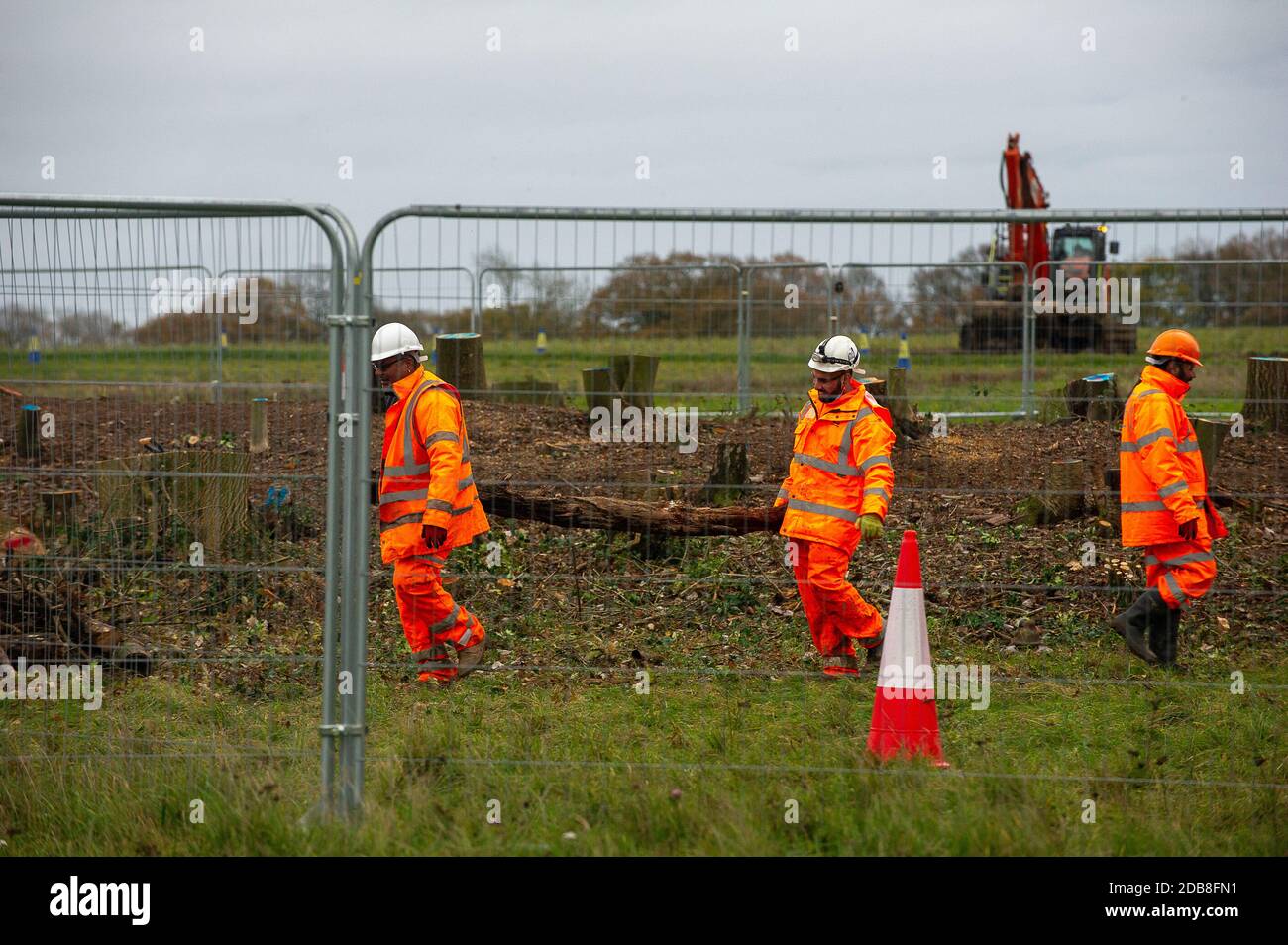 Important tree for insects hi-res stock photography and images - Alamy