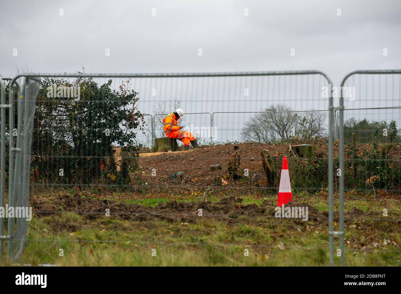 Important tree for insects hi-res stock photography and images - Alamy