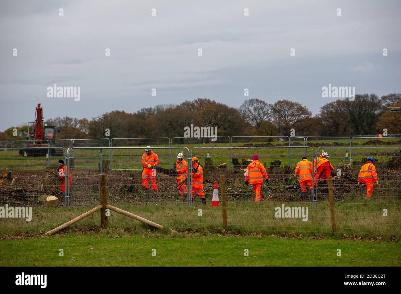 Important tree for insects hi-res stock photography and images - Alamy