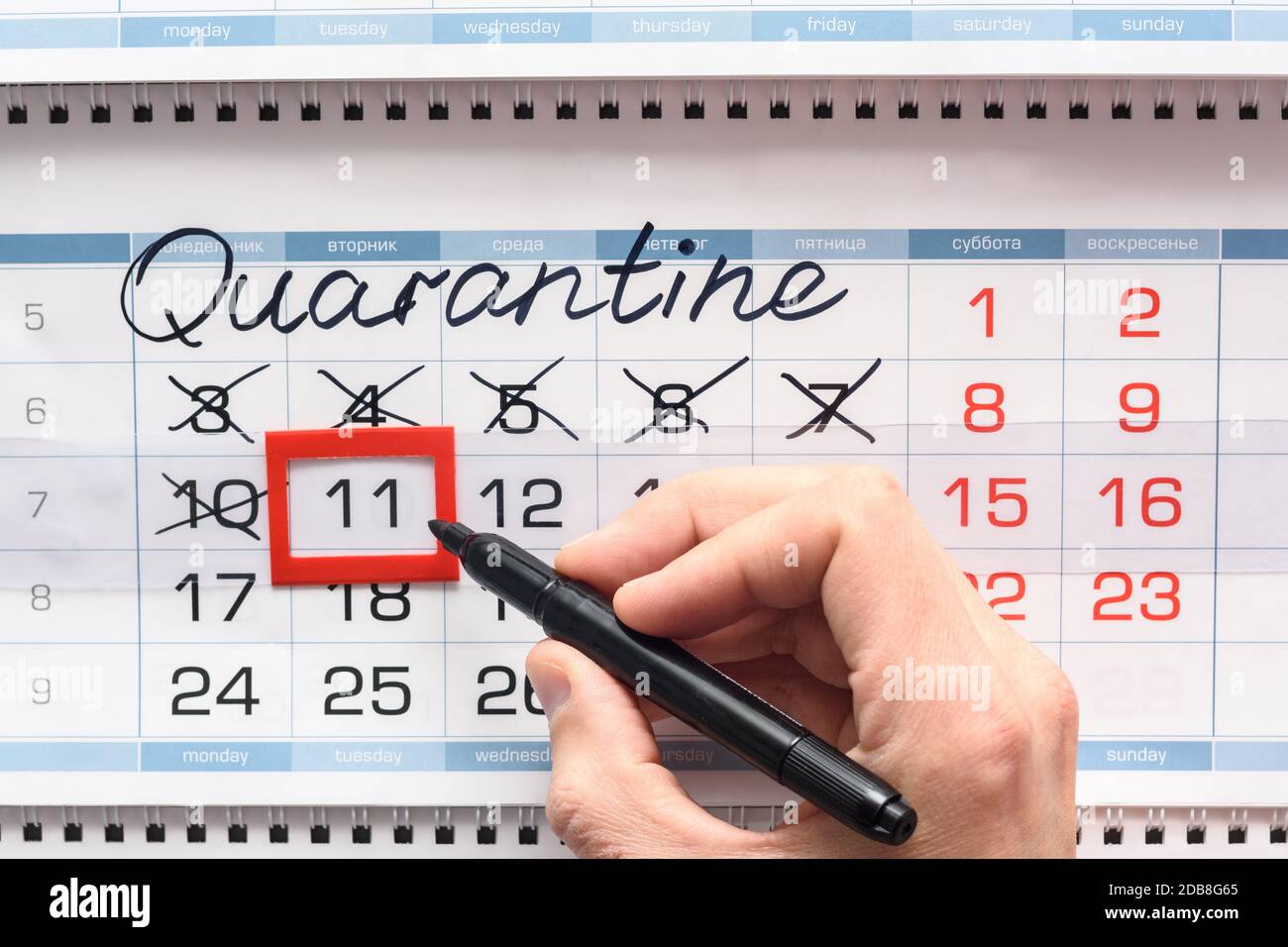 Hand crosses the next quarantine day with a black felt-tip pen Stock ...