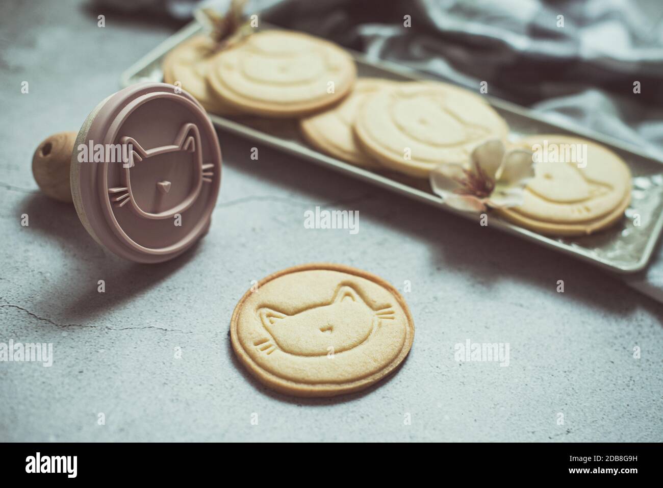 Home made cookies with cat faces Stock Photo - Alamy