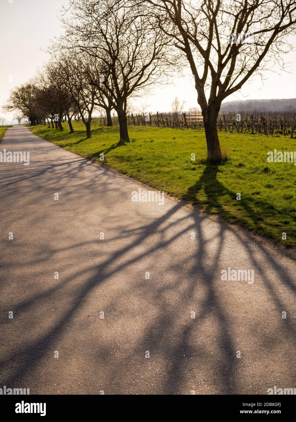 Shadowsilhouette hi-res stock photography and images - Alamy