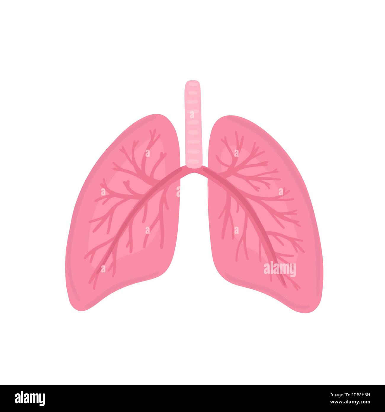 Vector healthy human lungs. Illustration for label, advertisement of ...