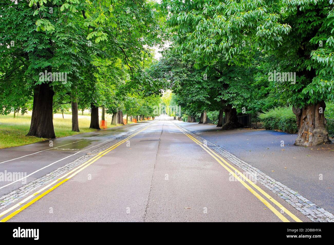 Beautiful road trough wood in Greenwich London Stock Photo - Alamy