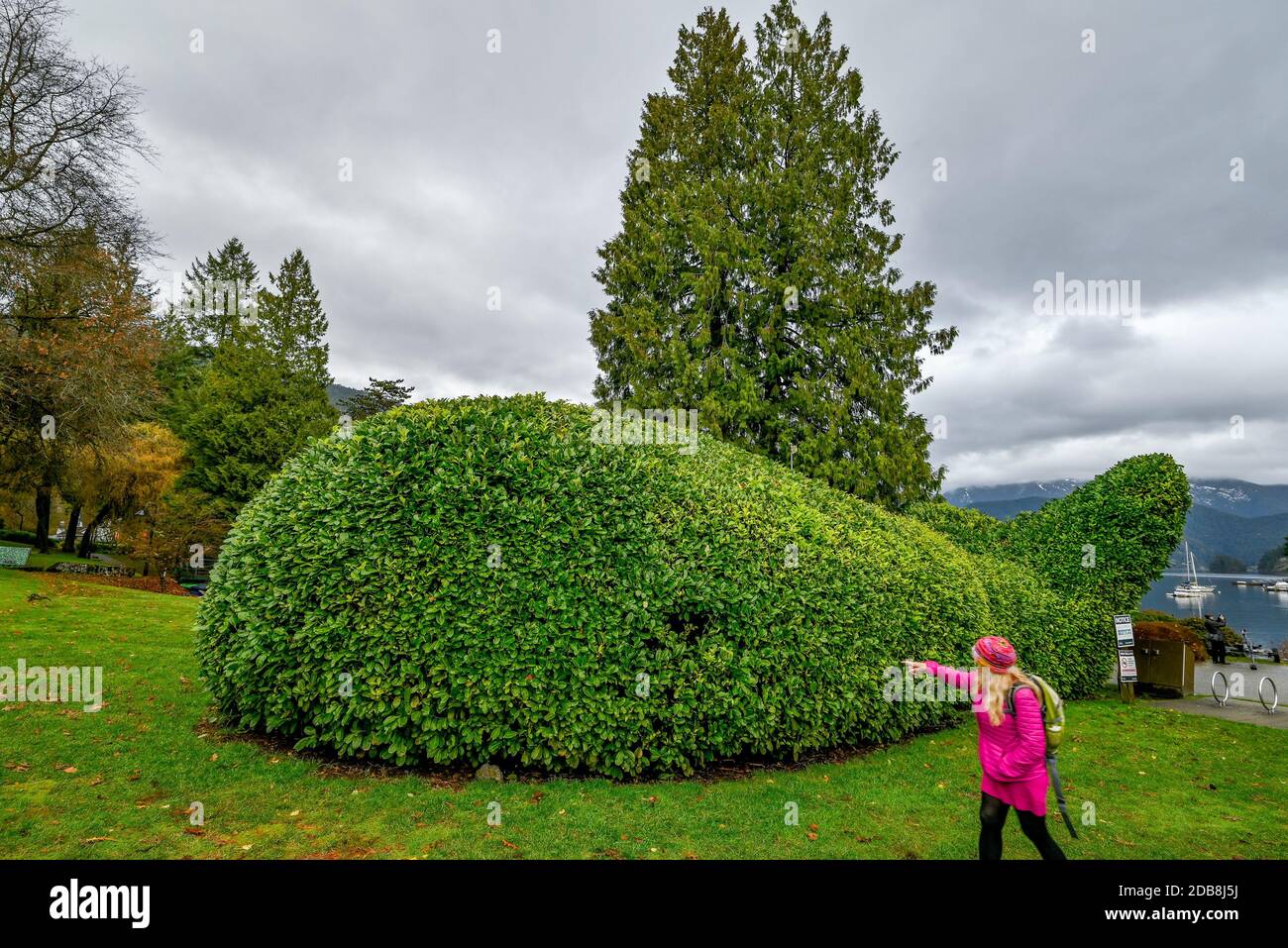 Whale shaped pruned bush, Deep Cove, North Vancouver, British Columbia ...