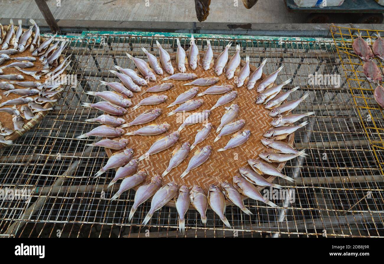 Dried fish in Tai O Lantau Island Hong Kong Stock Photo - Alamy