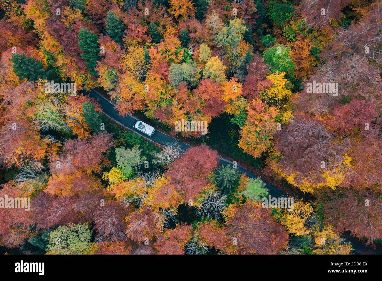 Car driving through forest hi-res stock photography and images - Alamy