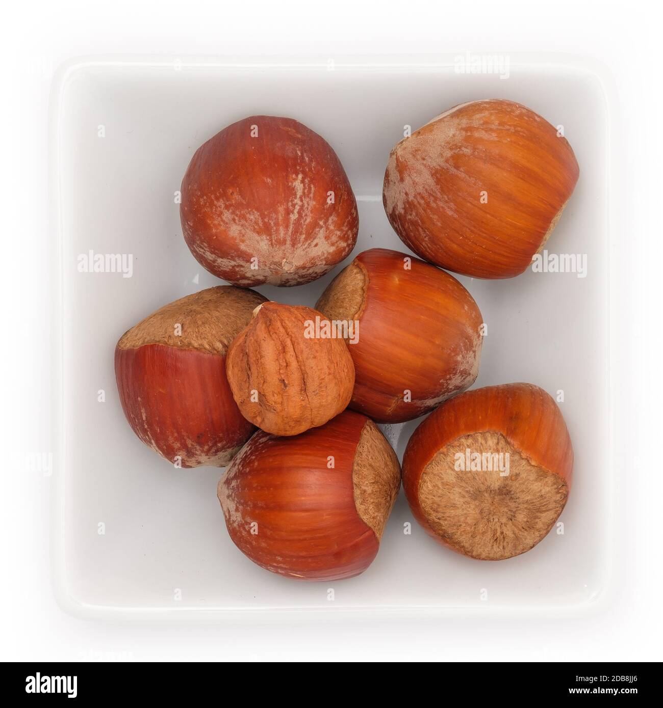 Cracked hazelnut in a white bowl in top viewl Stock Photo - Alamy