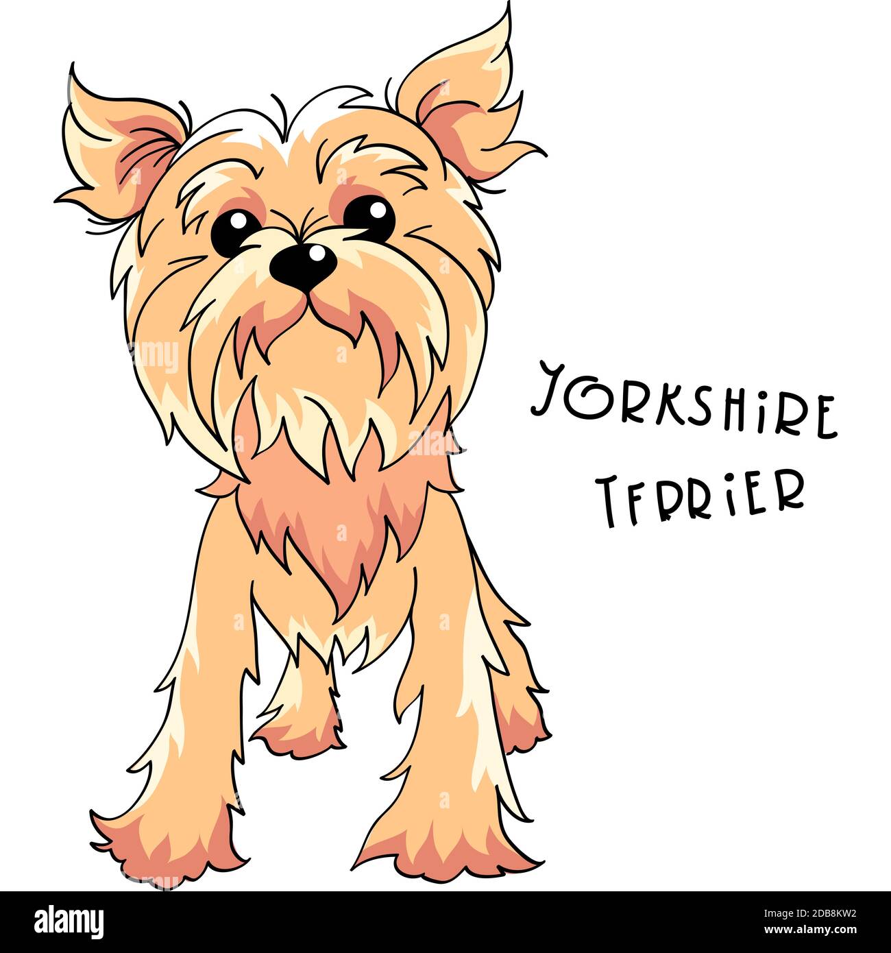 Cute dog pale cream Yorkshire terrier breed Stock Photo - Alamy