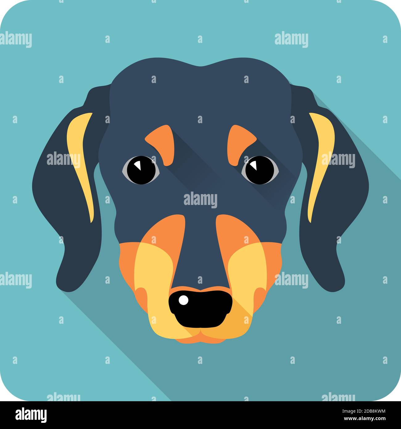 dog dachshund icon flat design Stock Photo - Alamy