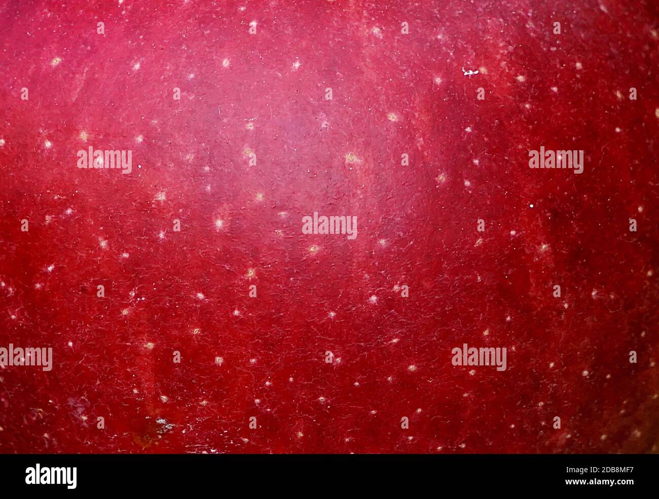 The texture of the peel of a red apple Stock Photo - Alamy
