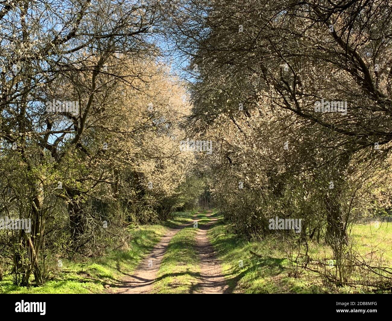 Way away hi-res stock photography and images - Alamy