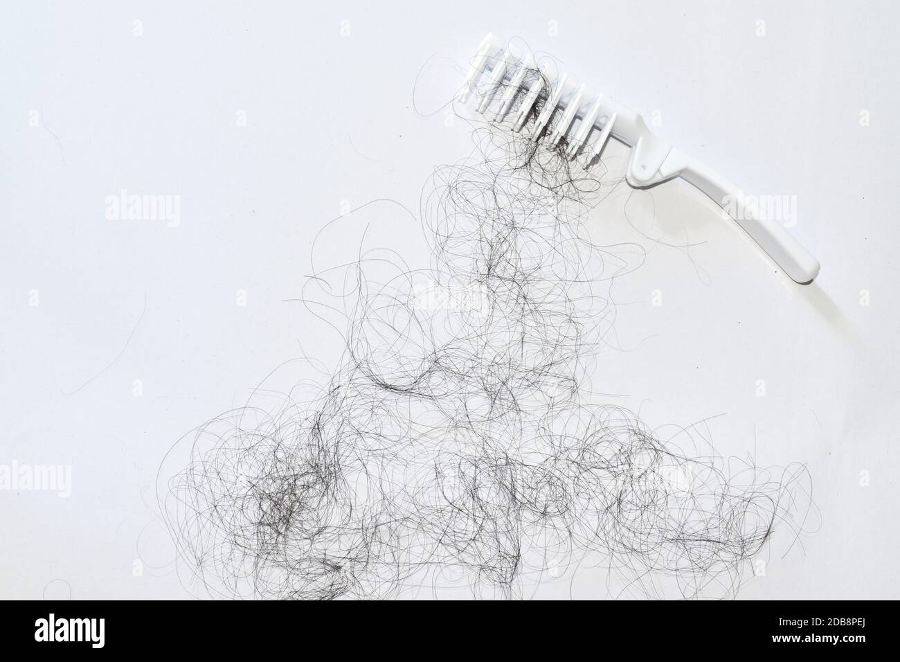 Bad combing causes hair damage Stock Photo - Alamy