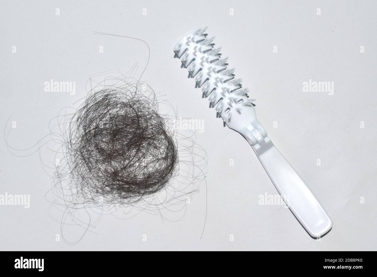 Bad combing causes hair damage Stock Photo - Alamy