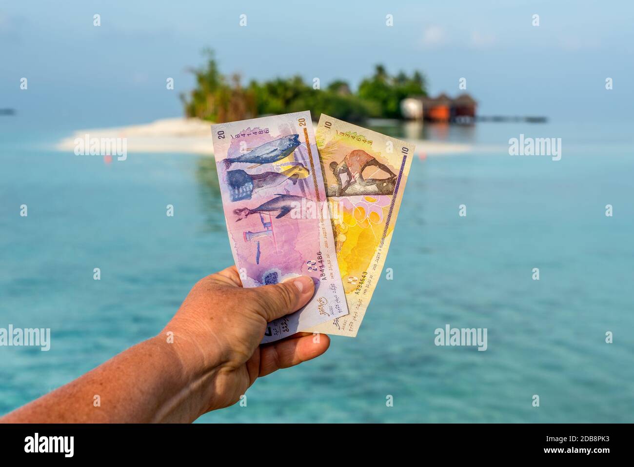 A tourist's show Maldivian rufiyaa bank note when she traveling in ...