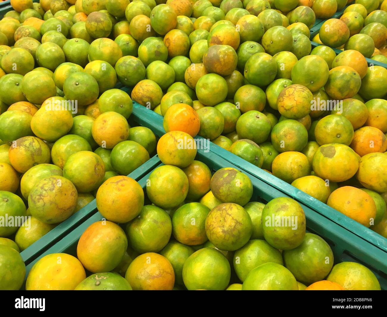 Box mandarin oranges hi-res stock photography and images - Alamy