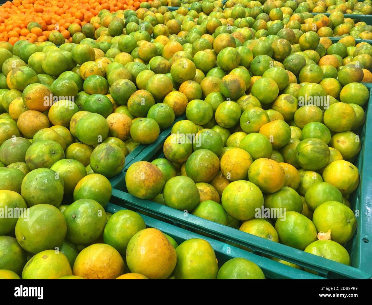 Box mandarin oranges hi-res stock photography and images - Alamy