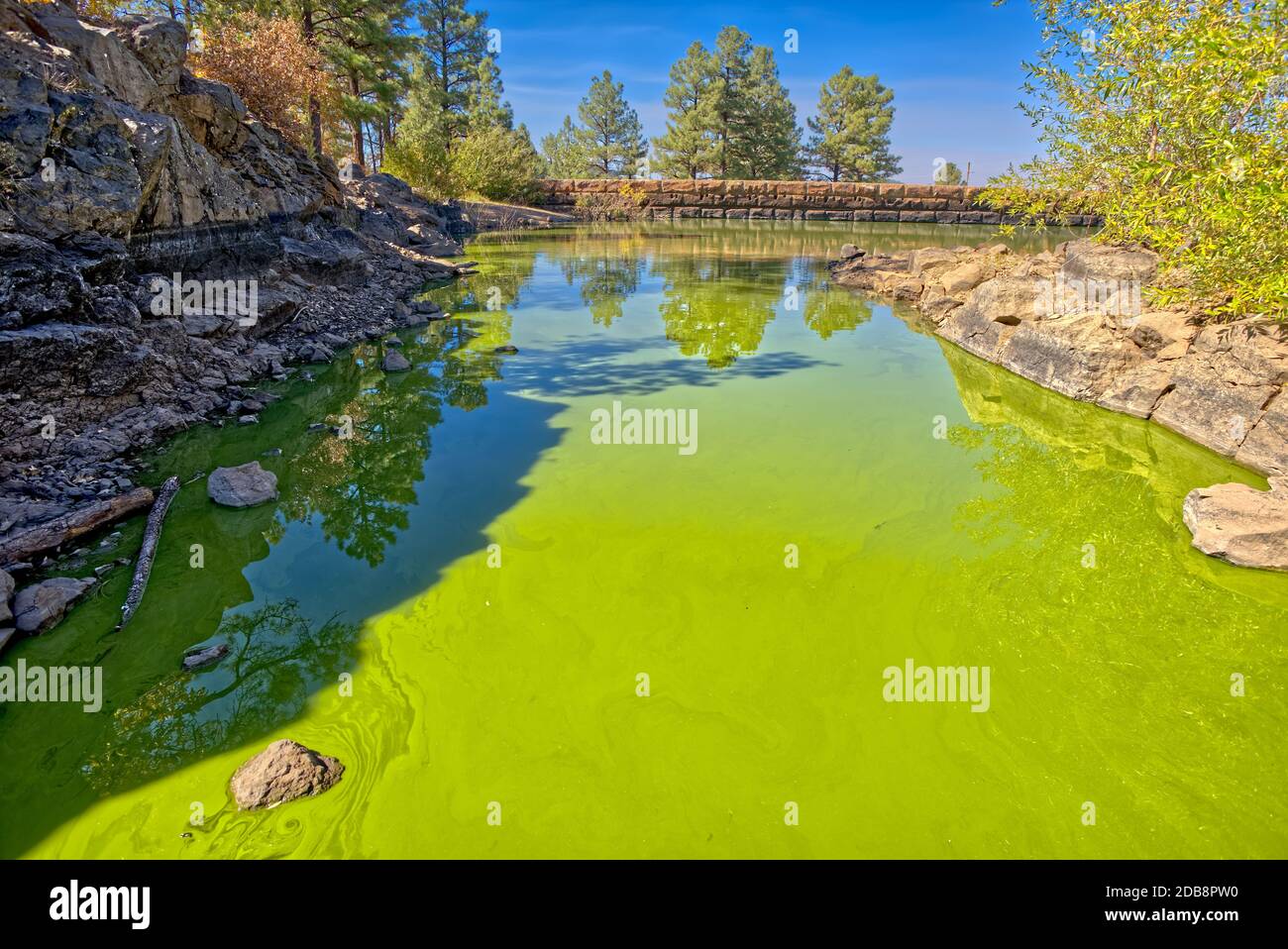 Green algae filled Lagoon behind Santa Fe Dam, Williams, Arizona, USA ...