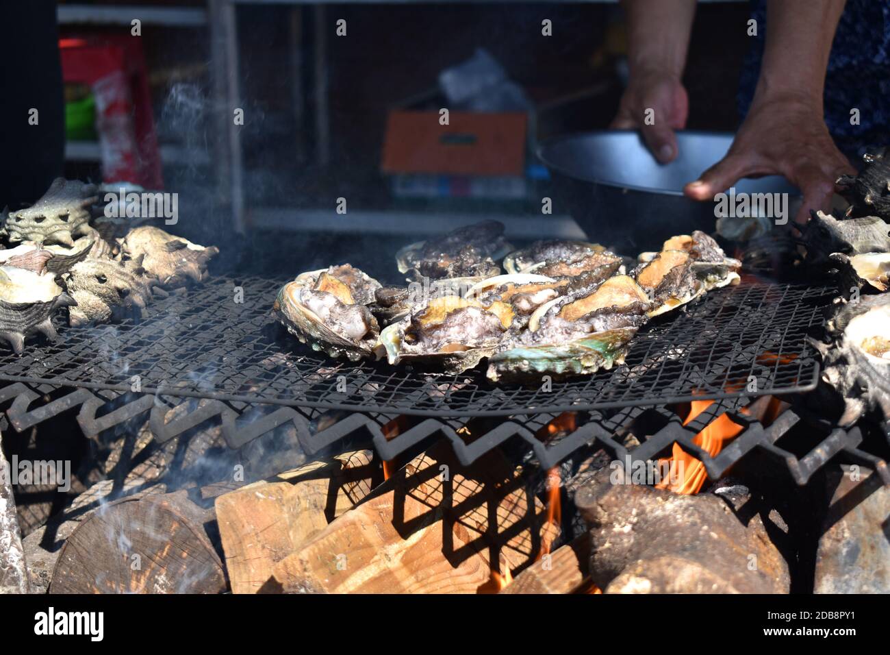 Grilled clams abalone back ground Stock Photo - Alamy