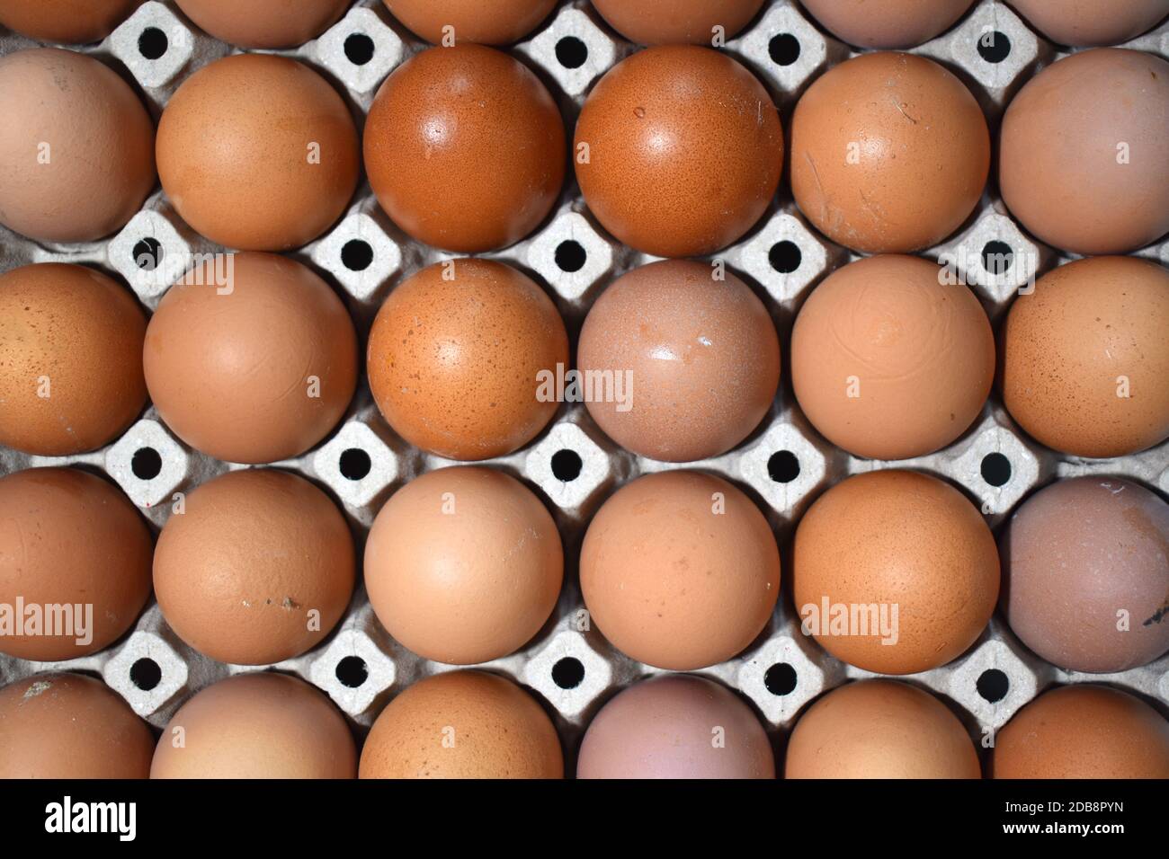 Egg panel Top View Background Stock Photo - Alamy