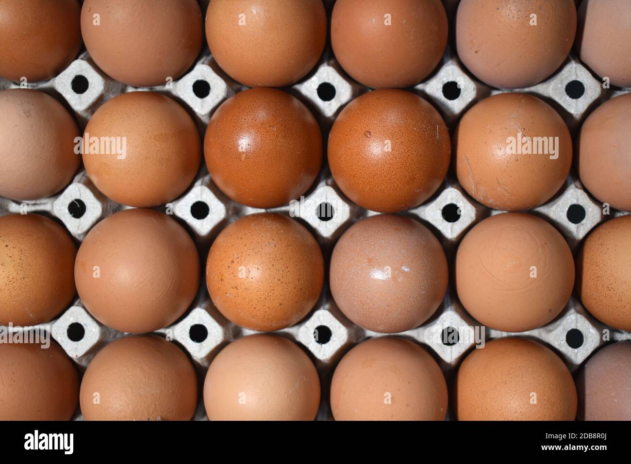 Egg panel Top View Background Stock Photo - Alamy