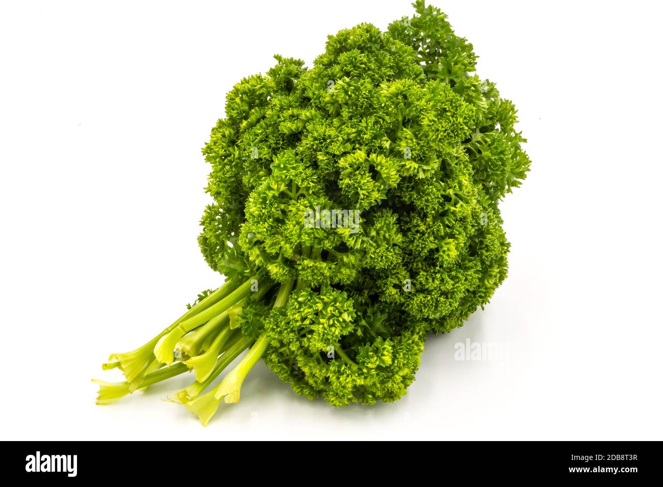 Curly parsley Cut Out Stock Images & Pictures - Alamy