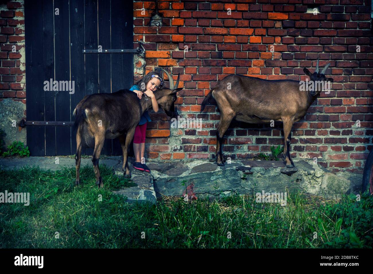 Girl standing by a building hugging a goat, Poland Stock Photo - Alamy