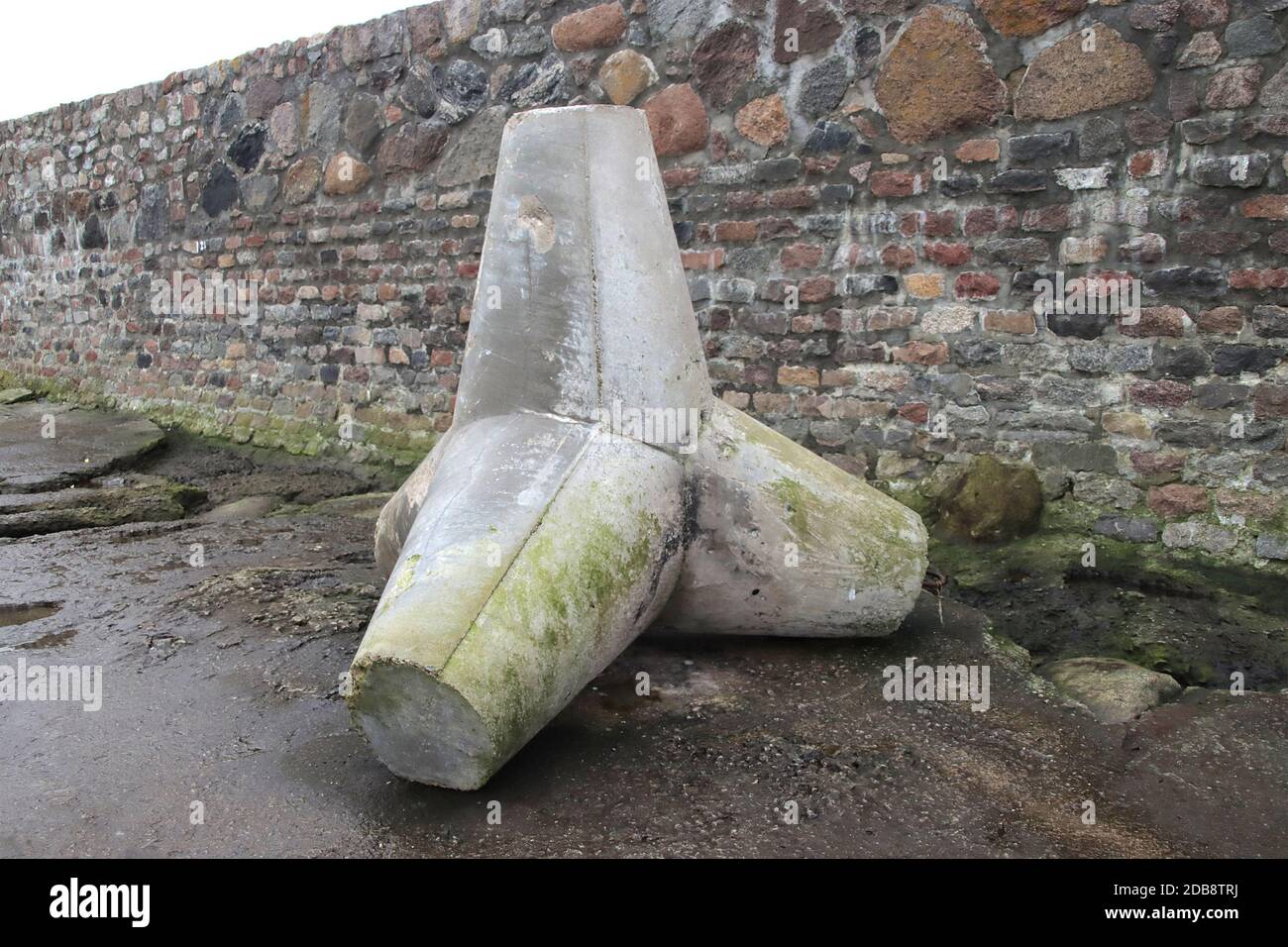 Tetrapod rocks hi-res stock photography and images - Alamy