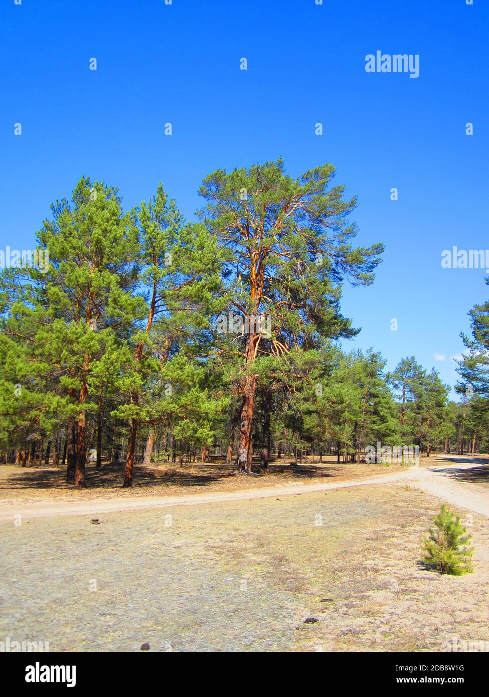 Real lighting hi-res stock photography and images - Alamy