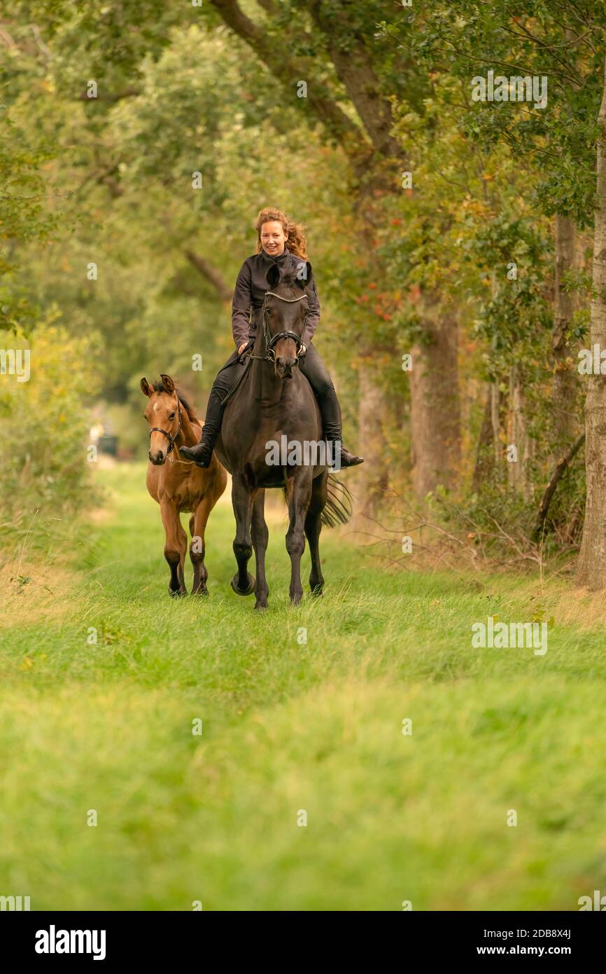 Riding Without Saddle High Resolution Stock Photography and Images - Alamy