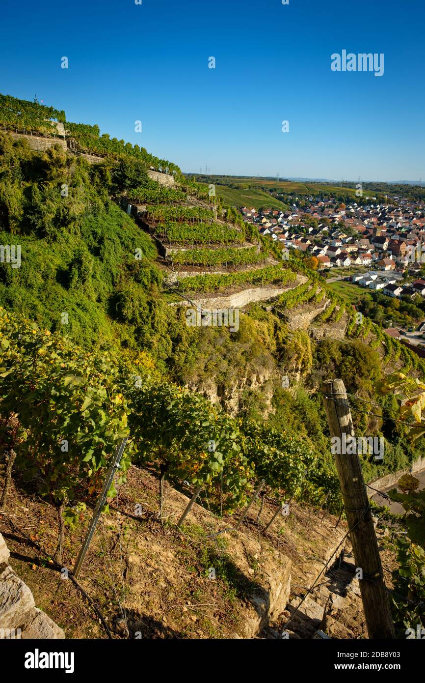 Steep vine slope hi-res stock photography and images - Alamy
