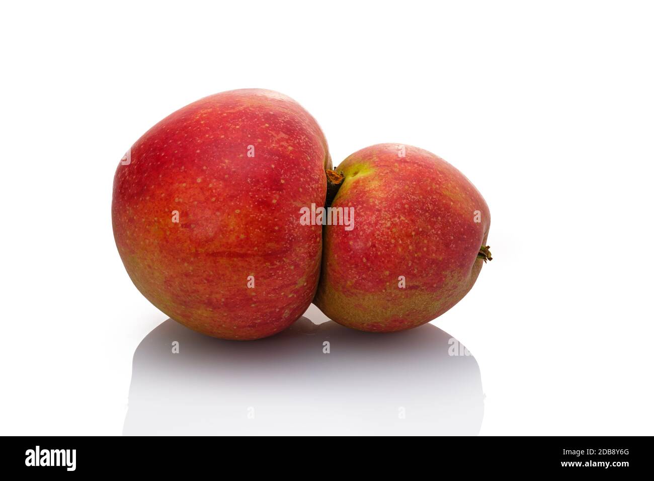 Twin apples hi-res stock photography and images - Alamy
