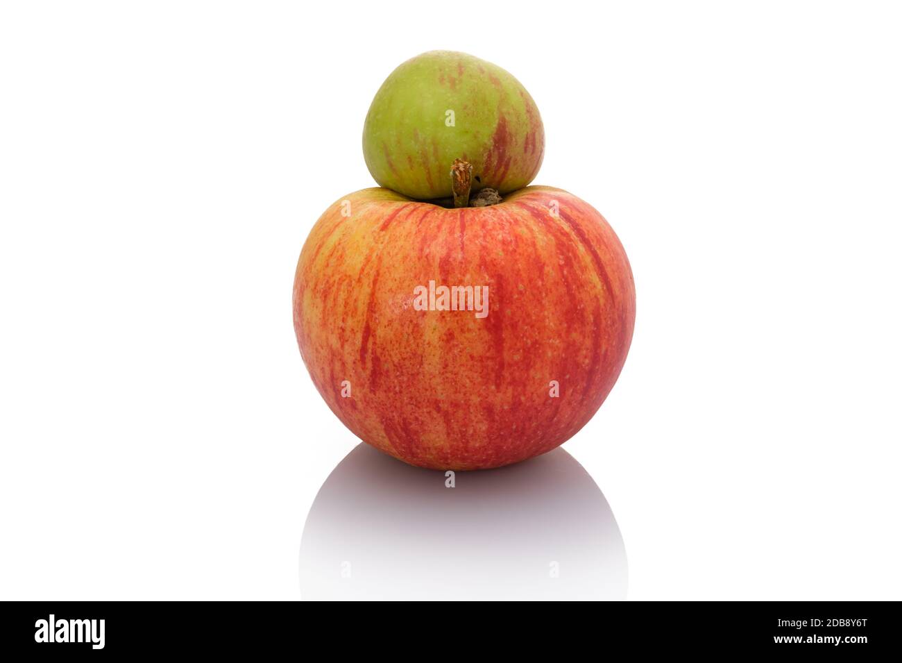 Big and little twin apple close-up white isolated Stock Photo - Alamy