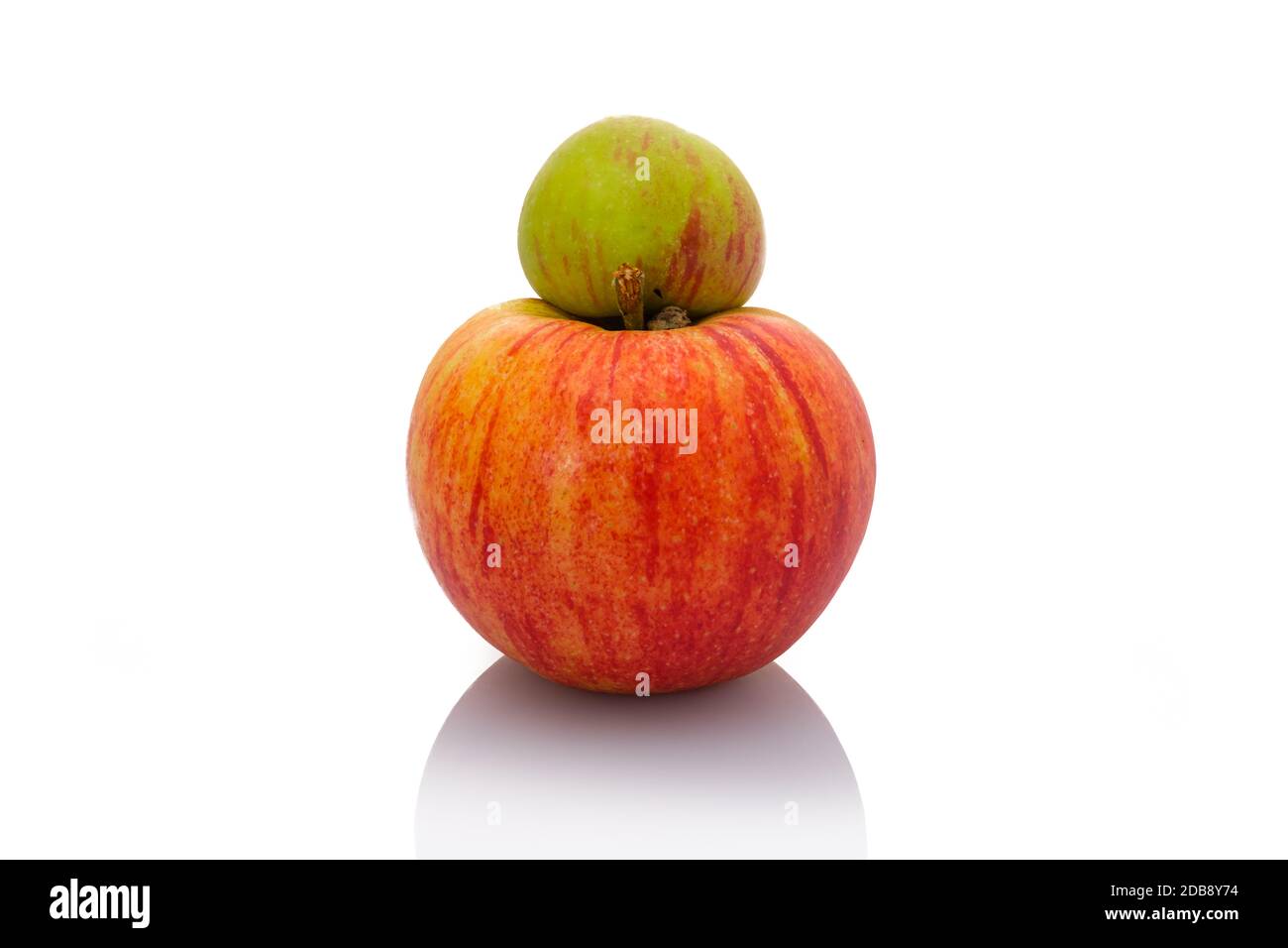 Twin apples hi-res stock photography and images - Alamy