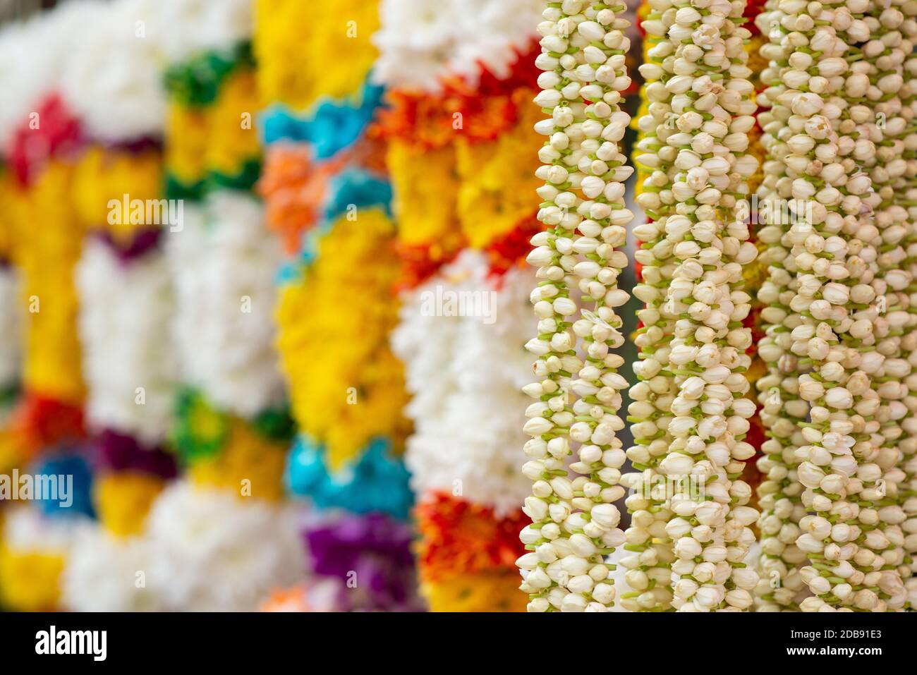 Indian flower garland jasmine hi-res stock photography and images - Alamy