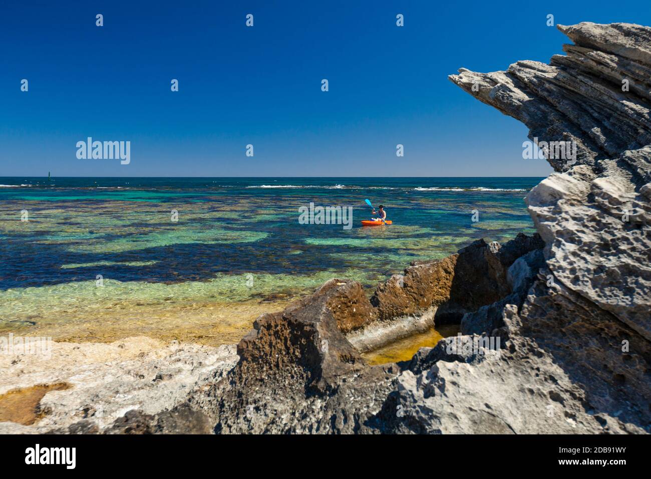 Paddling in Longreach Bay, Rottnest Island, Australia Stock Photo - Alamy