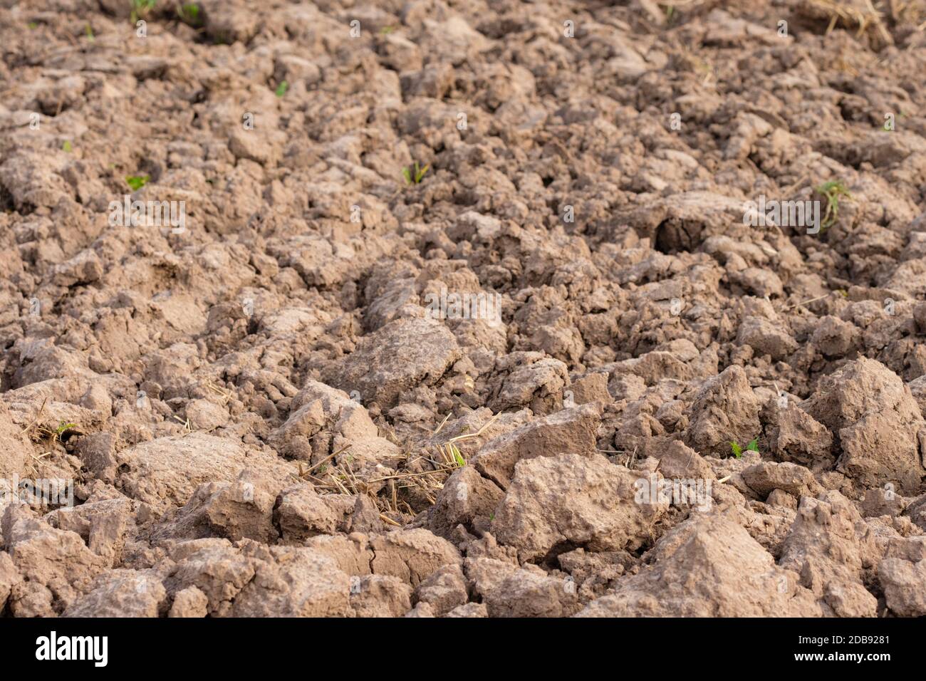 Earth soil arable close-up Stock Photo - Alamy