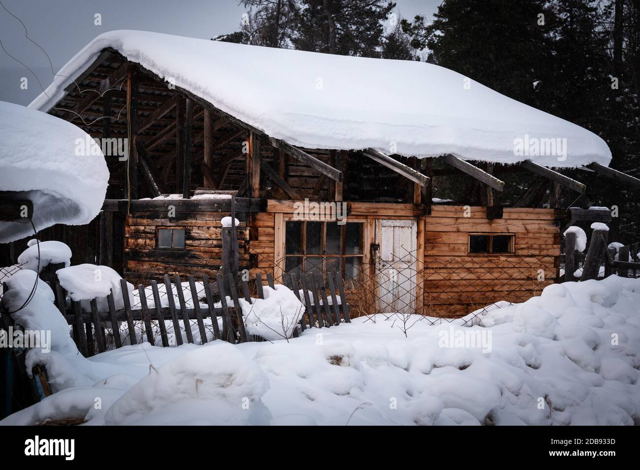 Traditional siberian house in the Davsha reserve Stock Photo - Alamy