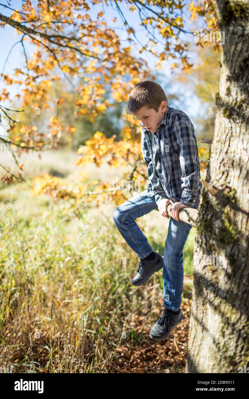 Boy climbing up on tree Stock Photo - Alamy