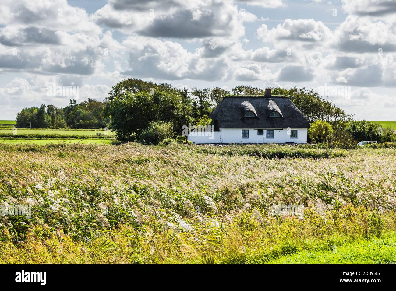 Landscape - Rural Stock Photo - Alamy