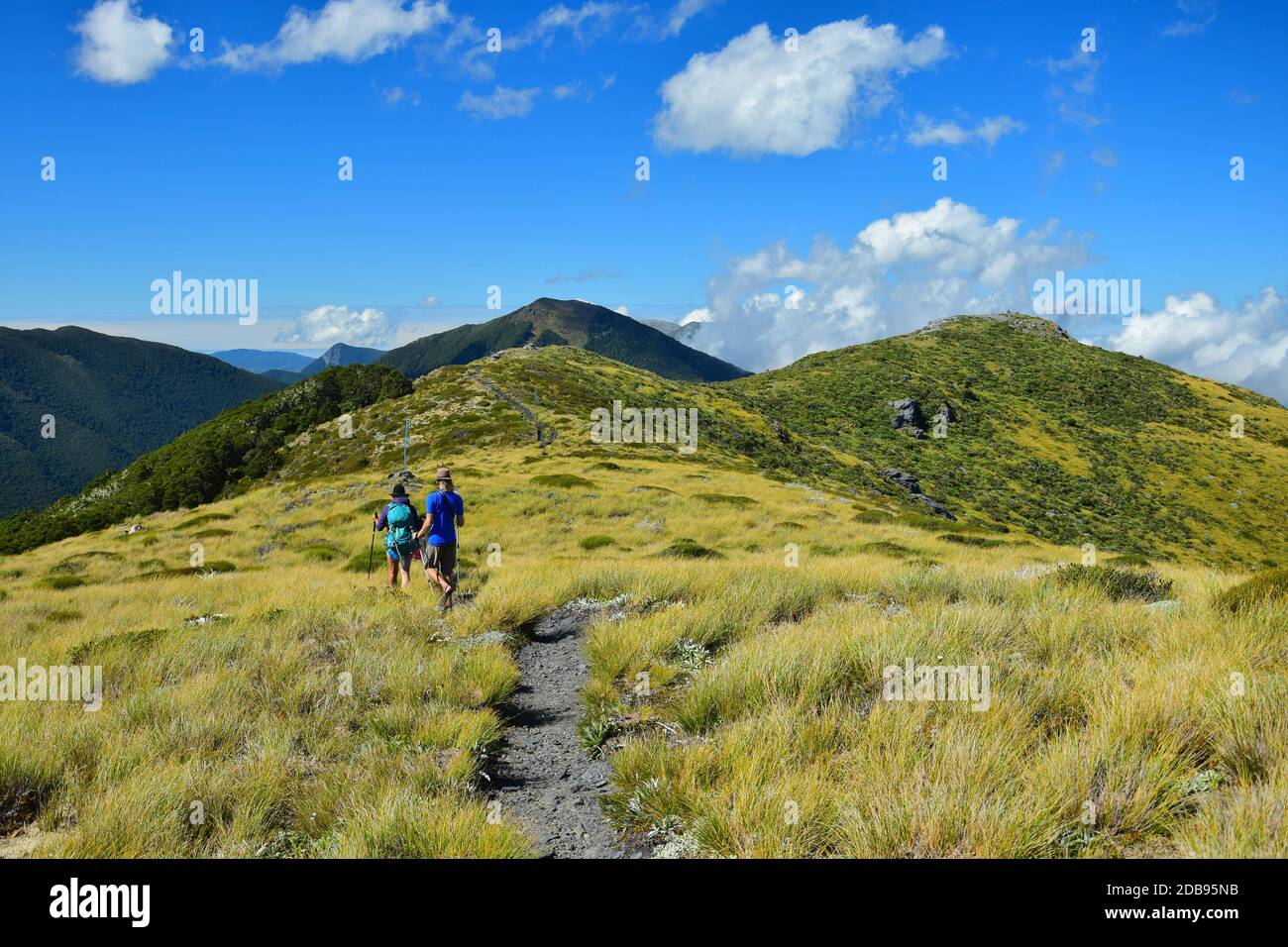 Beautiful mountain landscape with two hikers going to Mount Arthur ...