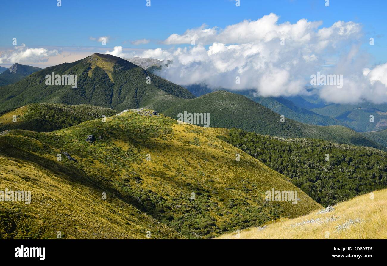 Beautiful mountain landscape with Mount Arthur. Kahurangi National Park ...
