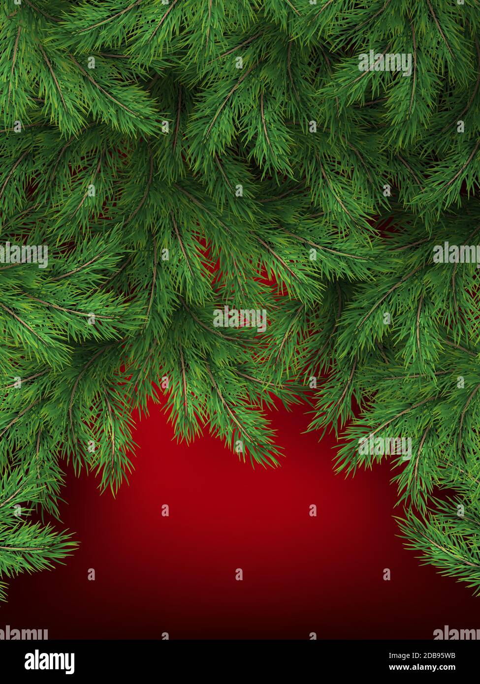 Red background with Christmas tree branches. Festive Xmas template of ...