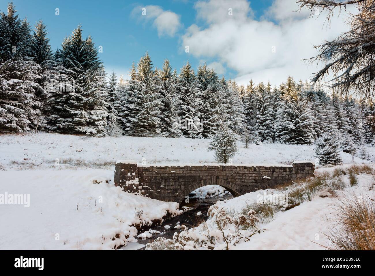 Small stone bridge over a stream in a snow covered forest landscape ...